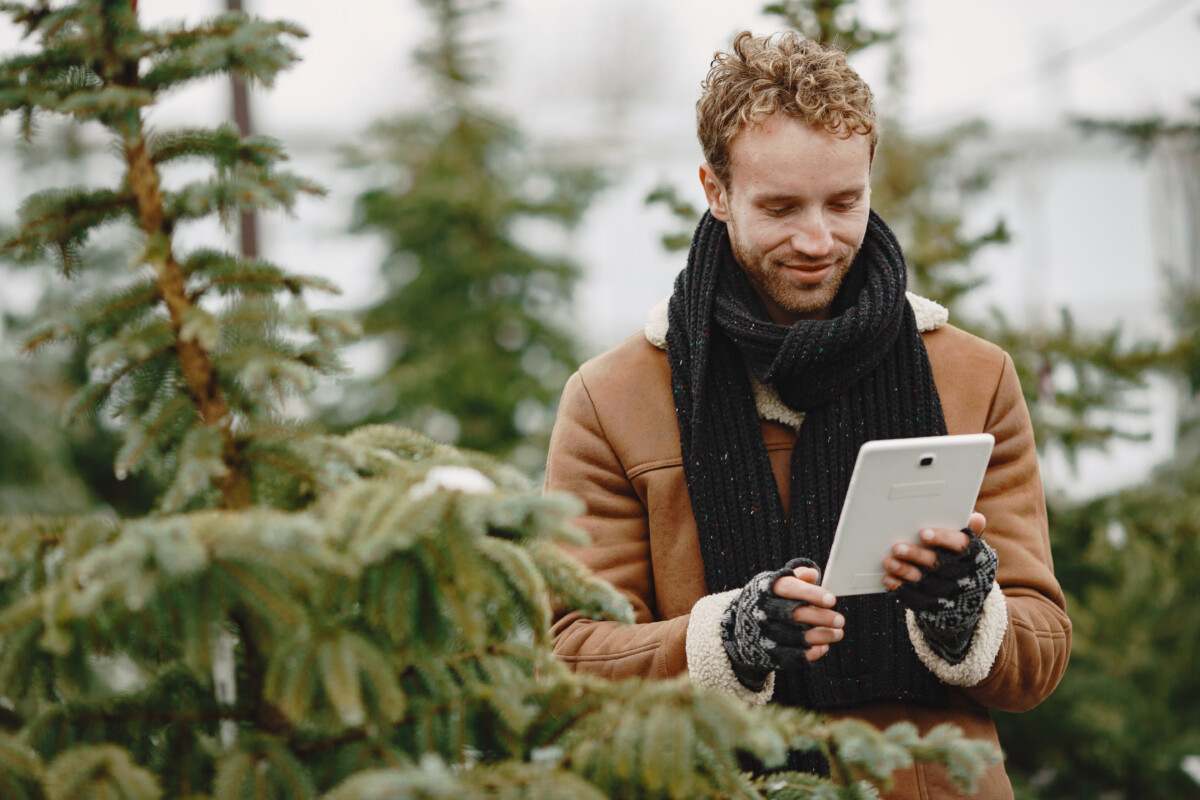 Kad pārdot mežu un kad labāk apsaimniekot?